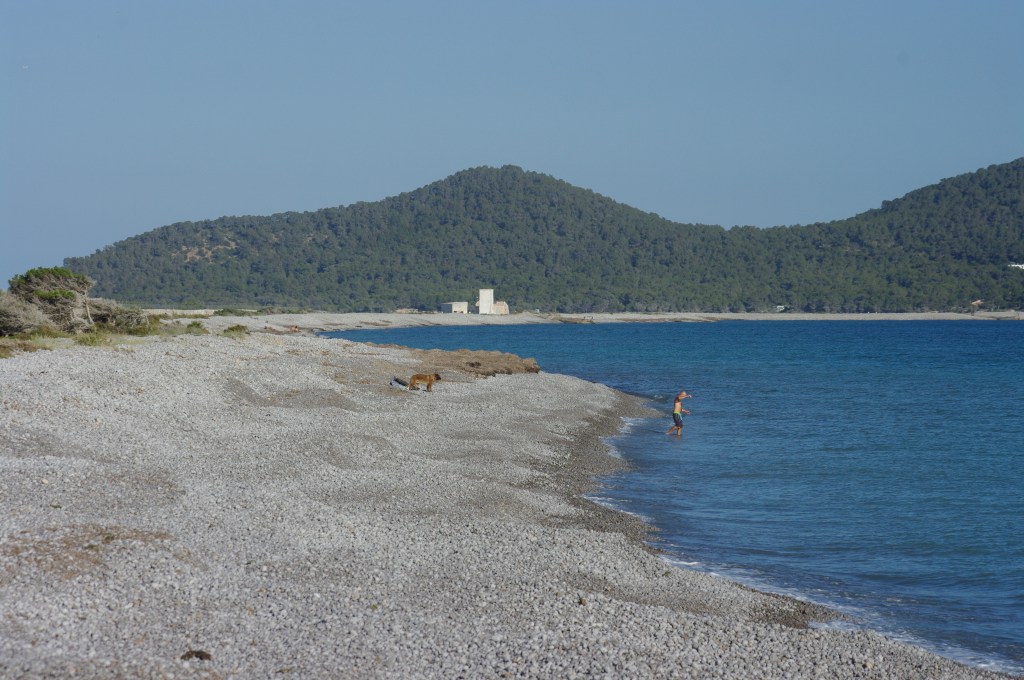 ES CODOLAR. SOUL BEACH CAFÉ. IBIZA. LA MAGIA DE LA ARENA GRUESA. | GATO ...